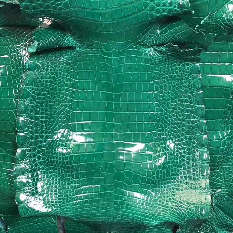 Luxury Genuine Alligator Handbag