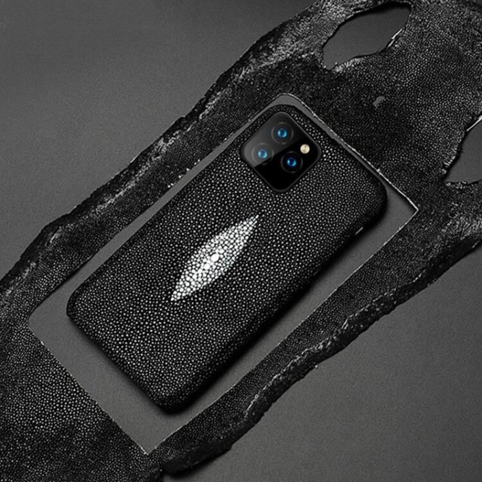 Stingray iPhone 17 Pro Max, 17 Pro, 17 Air Cases | BRUCEGAO