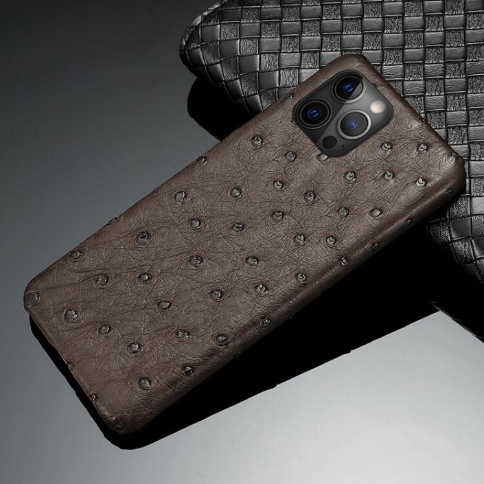 Ostrich iPhone 17 Pro Max, 17 Pro, 17, Air Cases