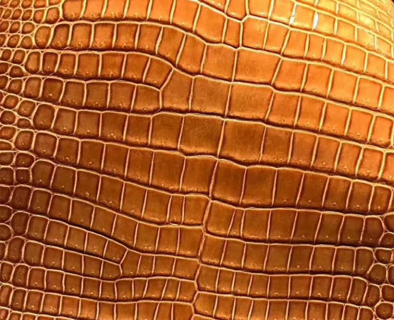 What is the difference between crocodile skin and alligator skin