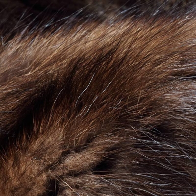 How To Tell If A Fur Coat is Mink?
